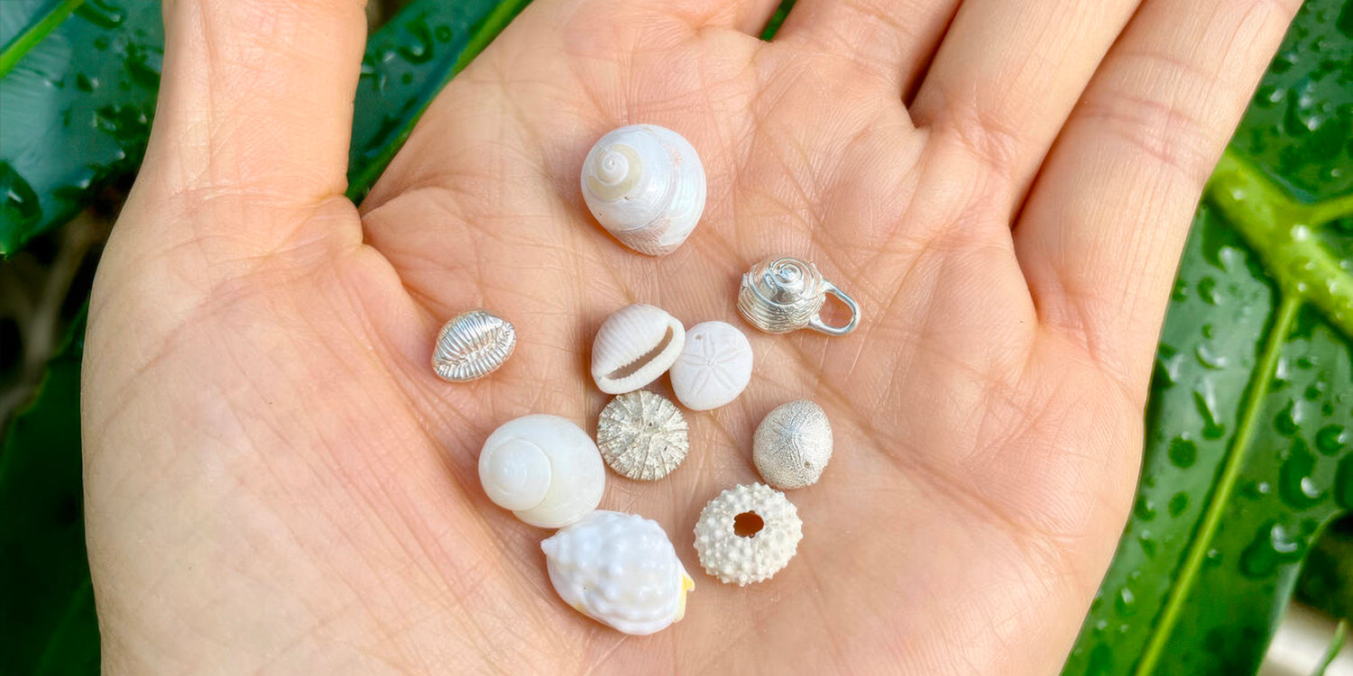 She Stopped Selling Sea Shells – Sustainable Seashells – 'Alohi Kai Jewelry